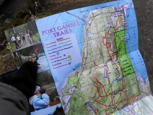 8 Beautiful Hiking and Running Trails near Port Gamble, WA – ItIsWild