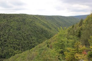 8 BEAUTIFUL Hiking Trails in Blackwater Falls State Park, WV – Wild