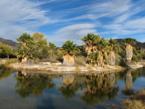 11 Lakes near Tucson, AZ for Kayaking, Fishing, and Swimming – ItIsWild