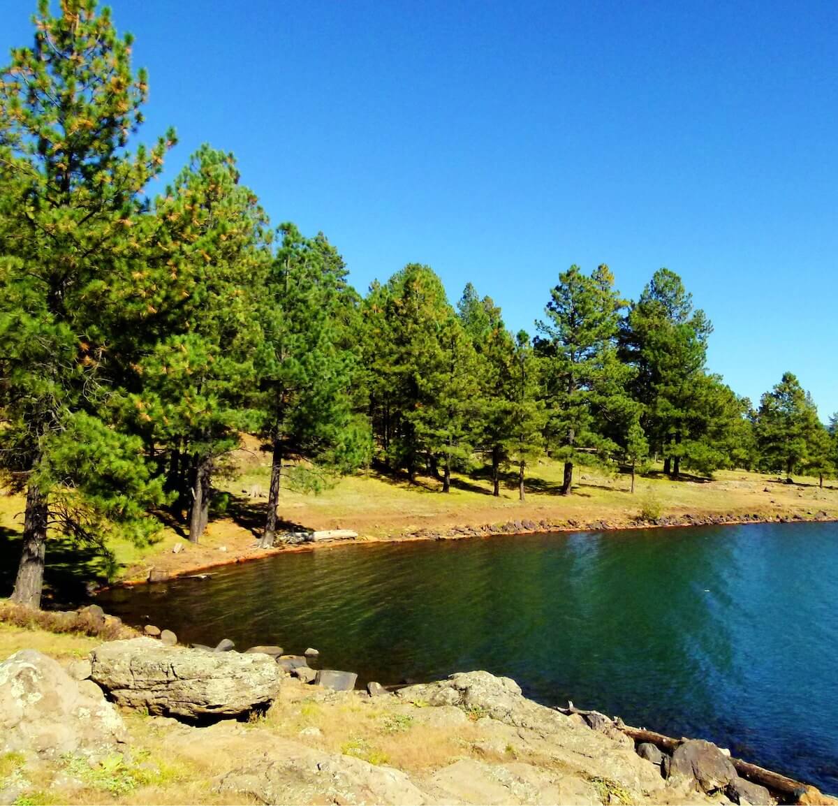 11 Amazing Recreational Lakes near Show Low, AZ – Wild