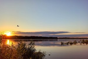 9 Amazing Lakes for Recreation near Wichita Falls, TX – Wild