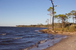 11 Gorgeous Beaches near Ocala, FL – Wild