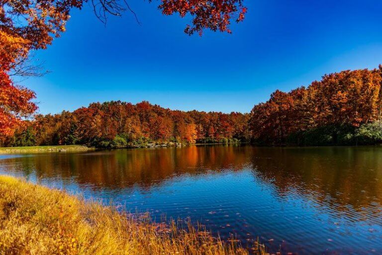 9 Fantastic Recreational Lakes near Richmond, VA – Wild