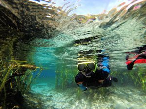 11 Gorgeous Beaches near Ocala, FL – ItIsWild
