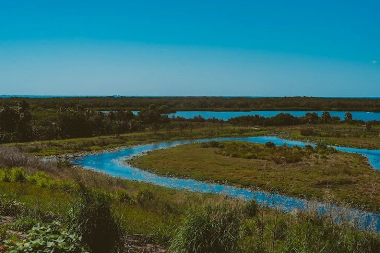 14 Incredible State Parks near Clearwater, FL (+ Map) – Wild