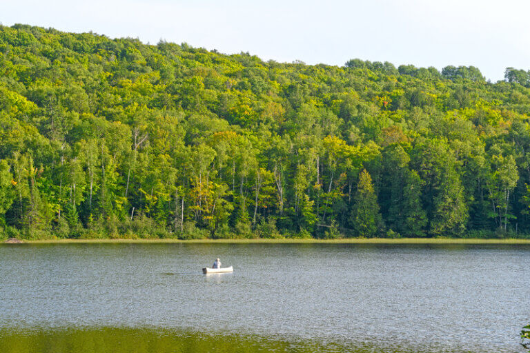 15 Best Recreational Lakes Under an Hour from Detroit, MI – Wild