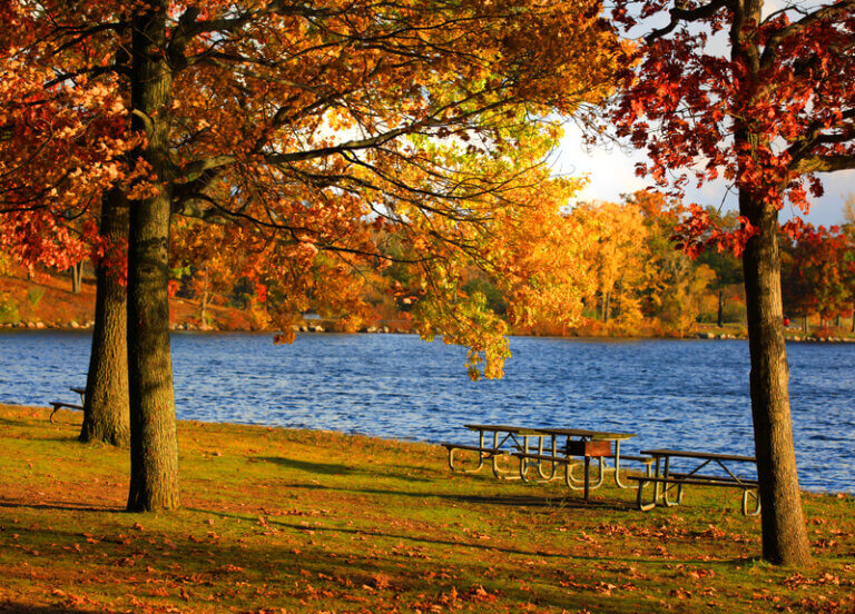 11 Incredible Recreational Lakes near Grand Rapids, MI – Wild