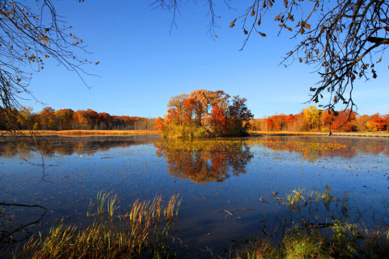 15 Best Recreational Lakes Under an Hour from Detroit, MI – Wild