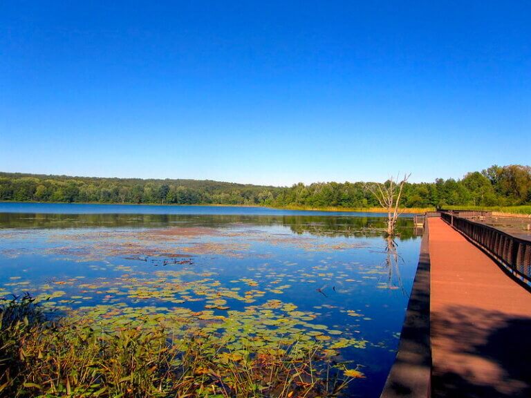 11 Incredible Recreational Lakes near Grand Rapids, MI – Wild