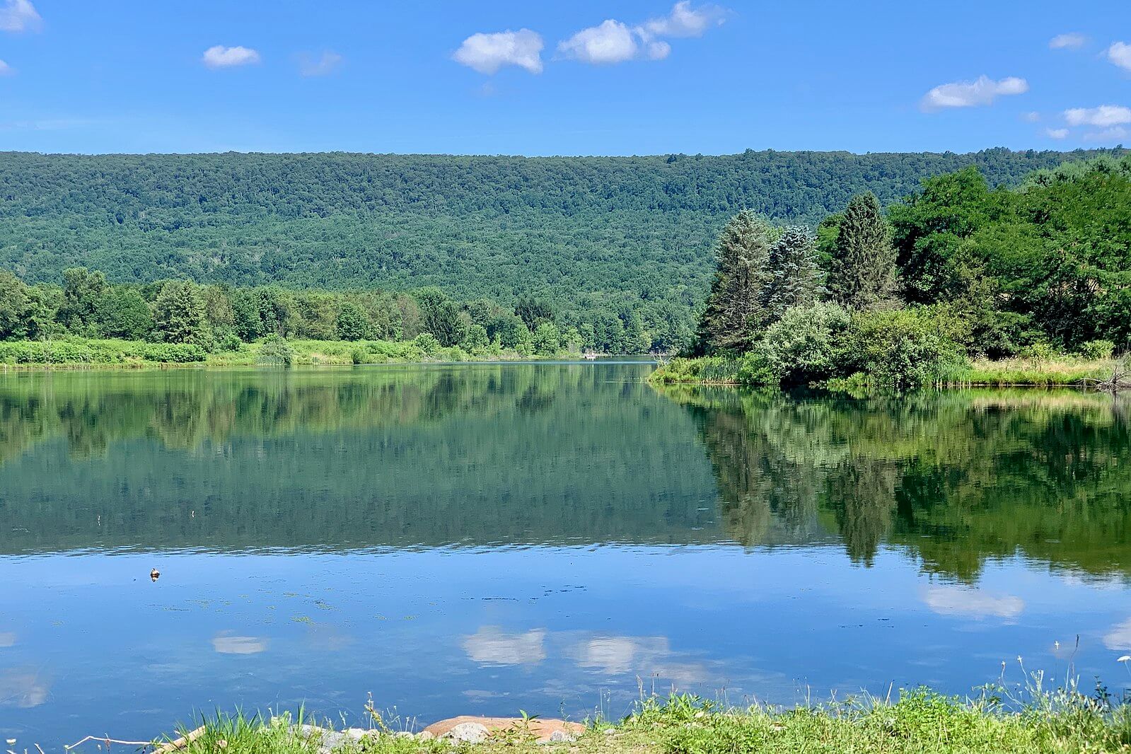 11 Best Lakes for Recreation near Allentown, PA – Wild