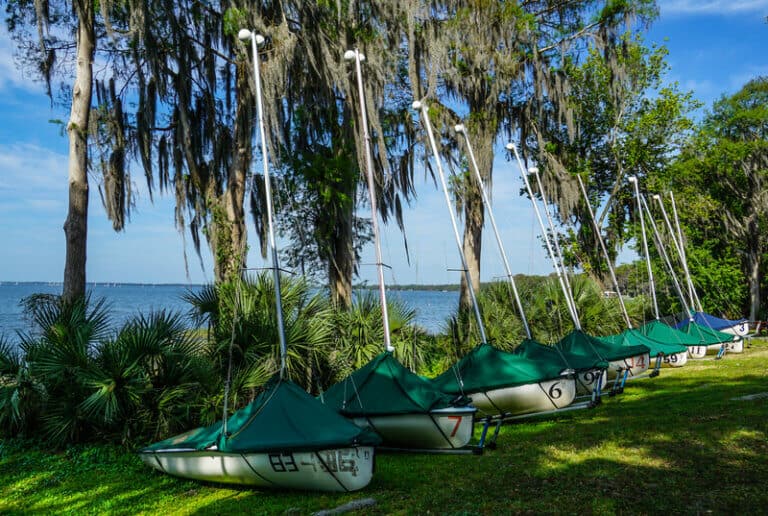 Lake Eustis Florida: Complete Guide – Wild