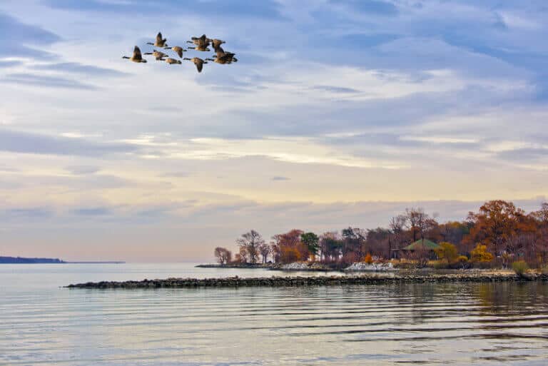 11 Fantastic Beaches near Baltimore, MD: within 1 hour drive – Wild