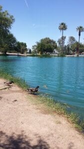 11 Gorgeous Recreational Lakes near Tucson, AZ – Wild