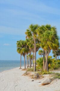 9 Stunning Beaches near Homosassa, FL – Wild