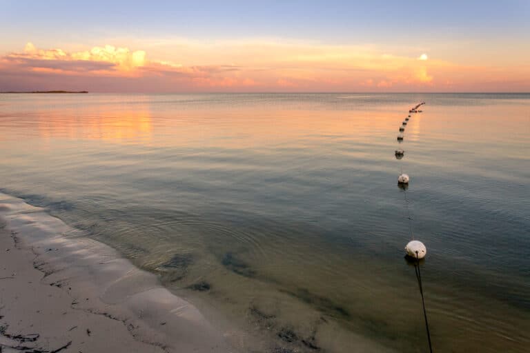 Cedar Key Beaches: A Haven for Nature Lovers – Wild