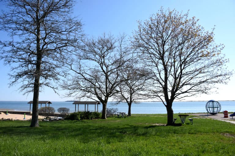 10 Fantastic Beaches with Public Access near Plymouth, MA – Wild