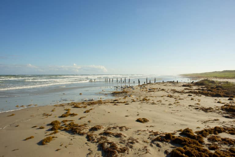10 Spectacular Beaches near Beaumont, TX – Wild