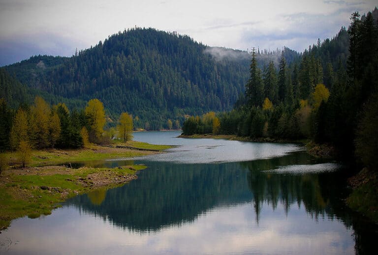 11 Gorgeous and Fun Recreational Lakes near Eugene, OR – Wild